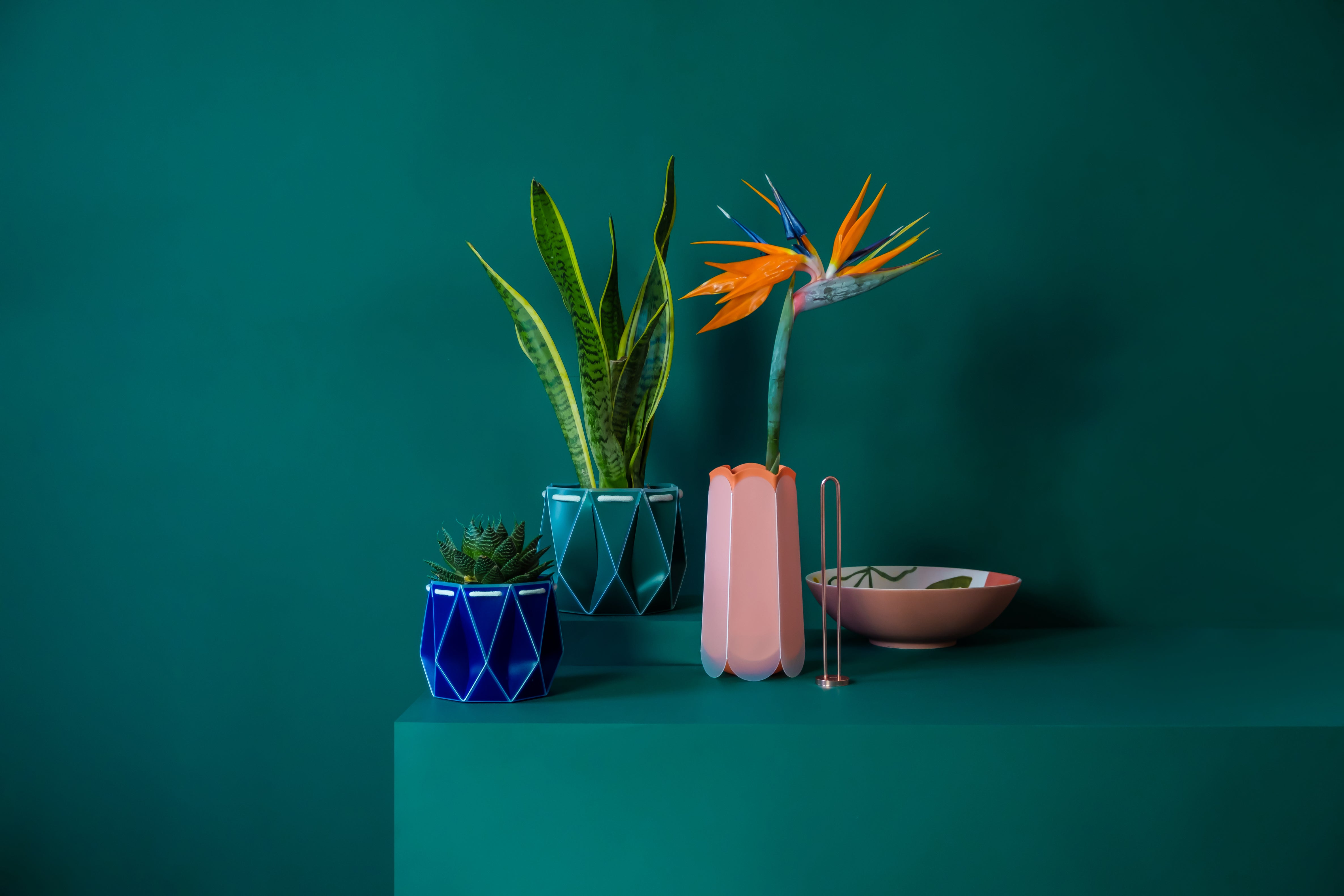 POTR Bundles – POTR Pots