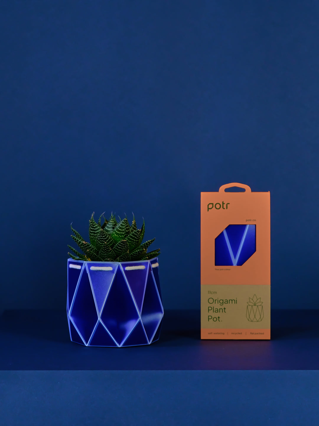 POTR Pots ~ Eco Friendly, Self-watering, Flat Pack Plant Pots