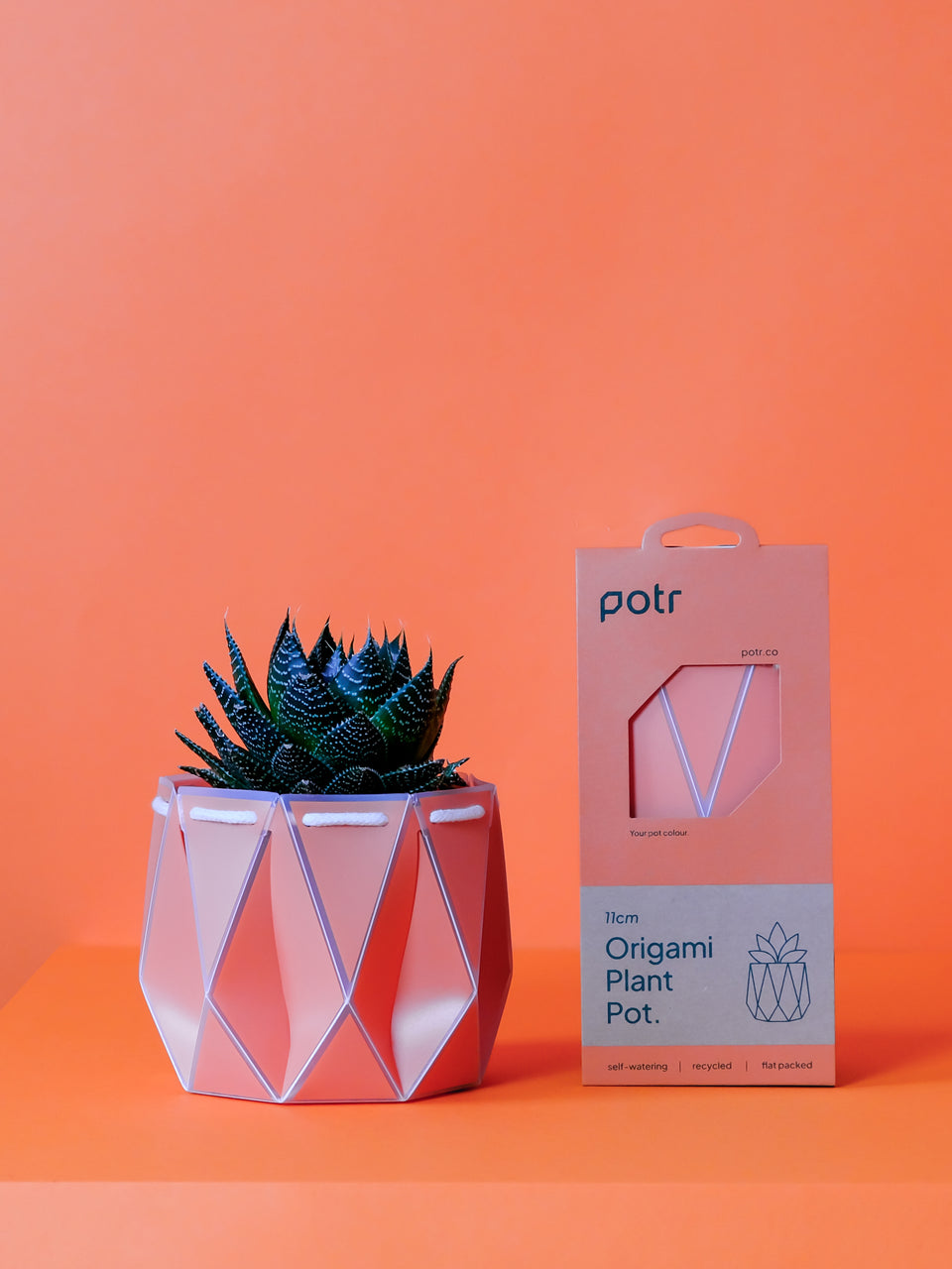 POTR Pots ~ Eco Friendly, Self-watering, Flat Pack Plant Pots