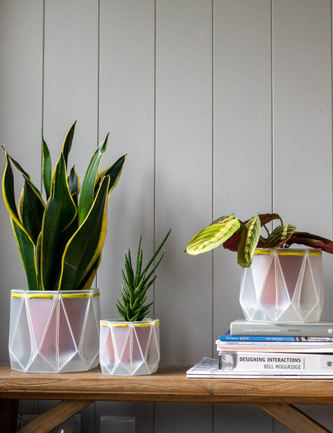 POTR Bundles – POTR Pots