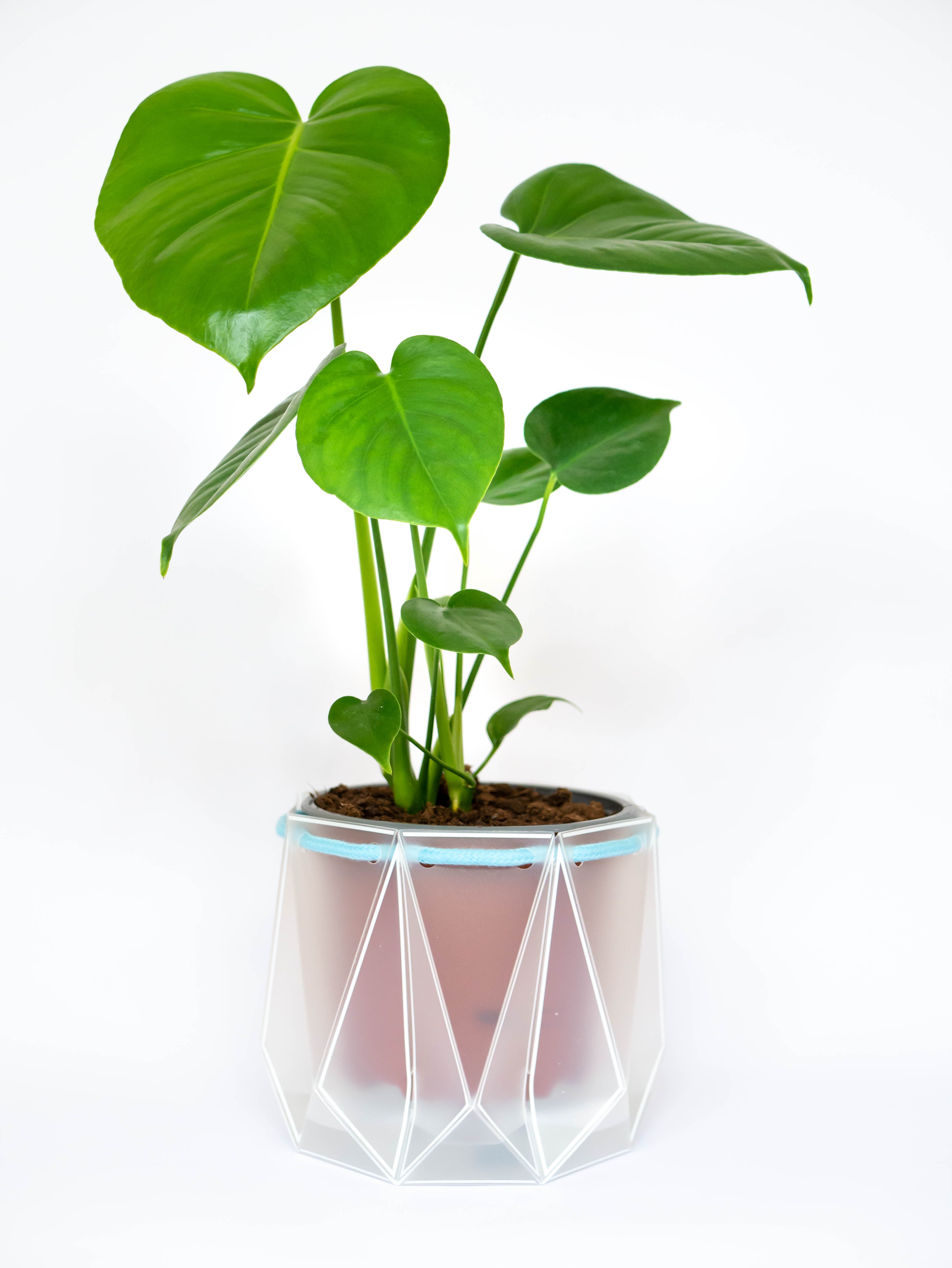 Products – POTR Pots