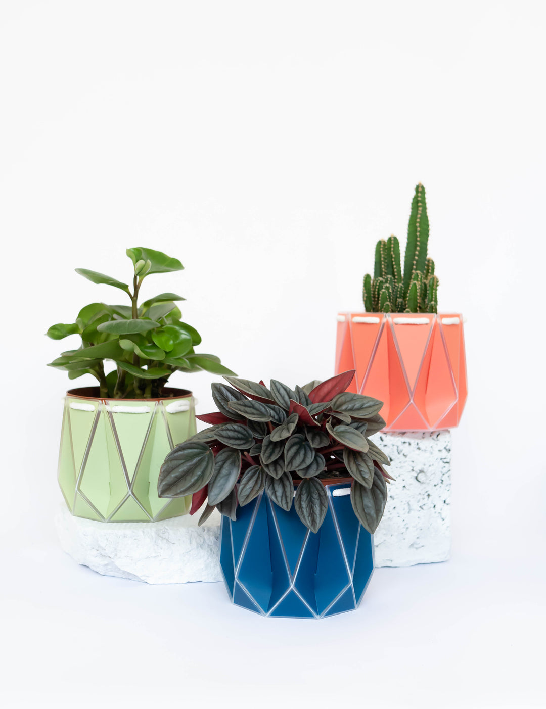 POTR Bundles – POTR Pots