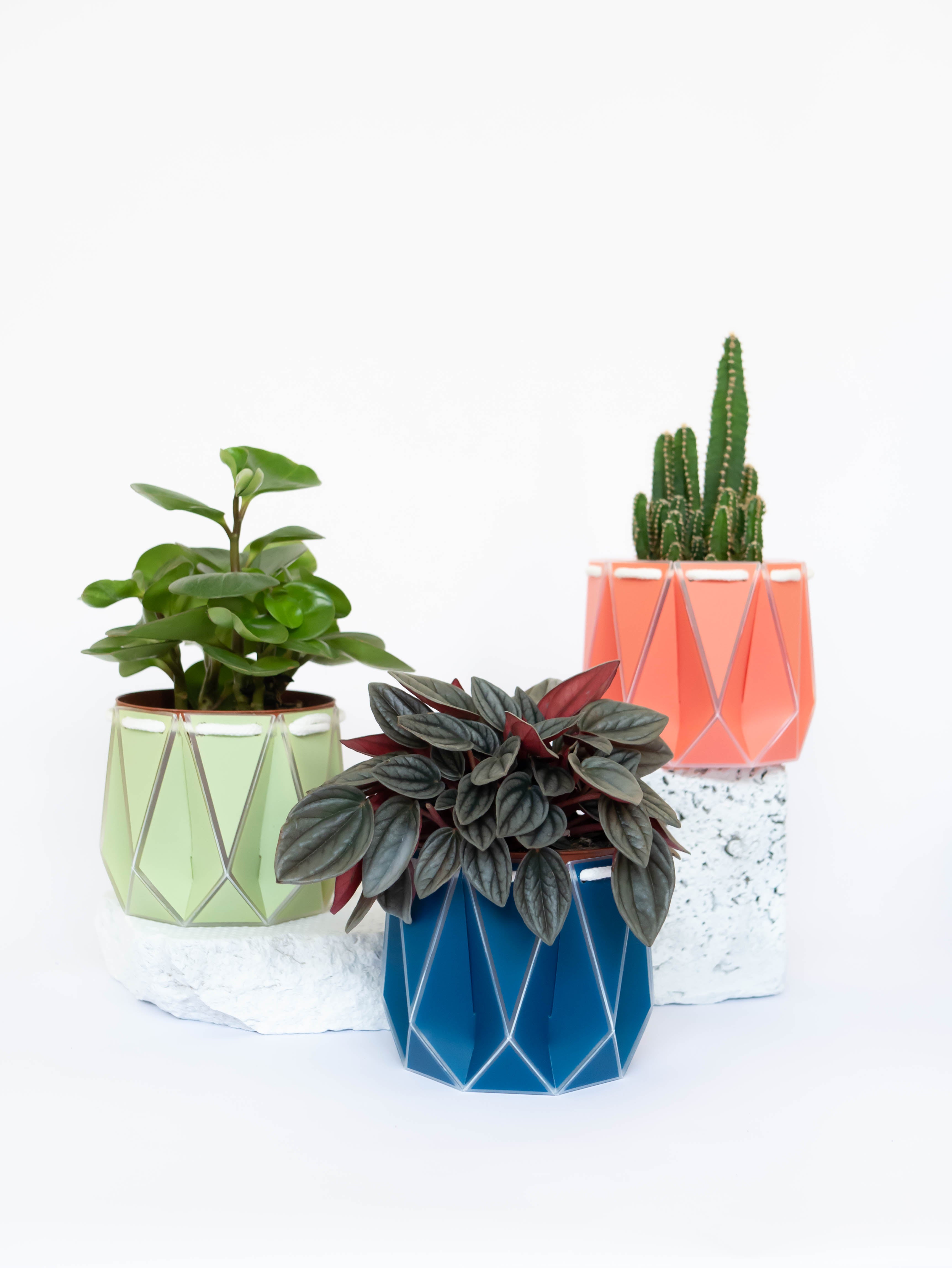 POTR Pots ~ Eco Friendly, Self-watering, Flat Pack Plant Pots